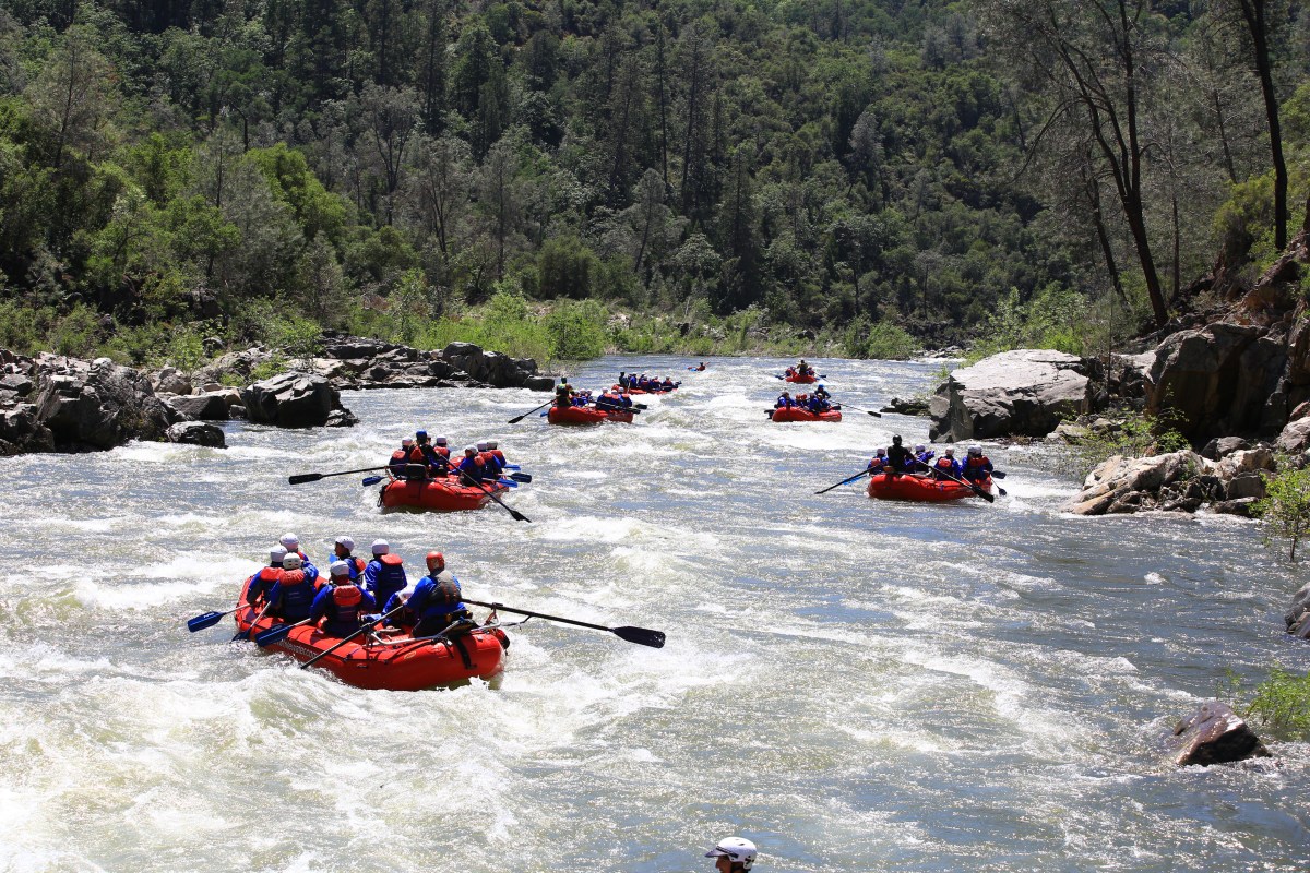 Whitewater Rafting the American River – The Cranky Camper