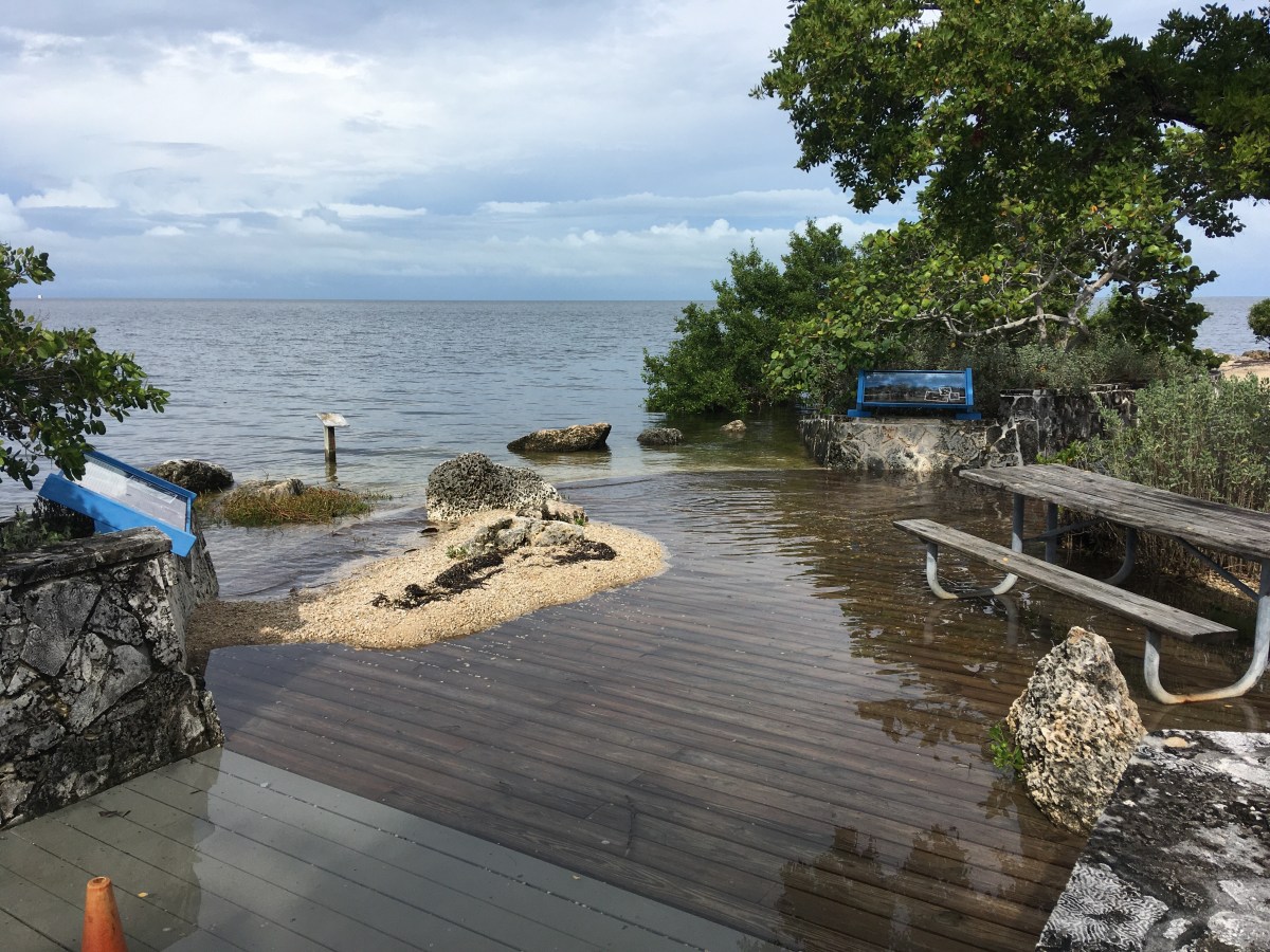 Biscayne Bay – The Cranky Camper