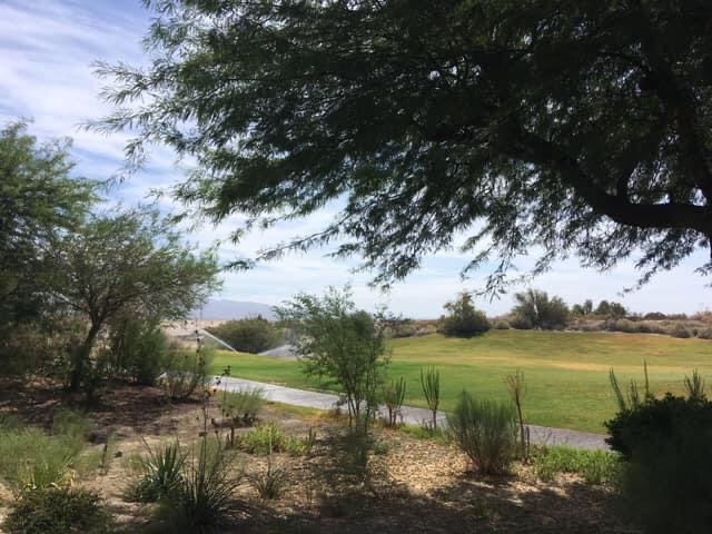 Desert Vibes: Indio and Palm Springs – The Cranky Camper
