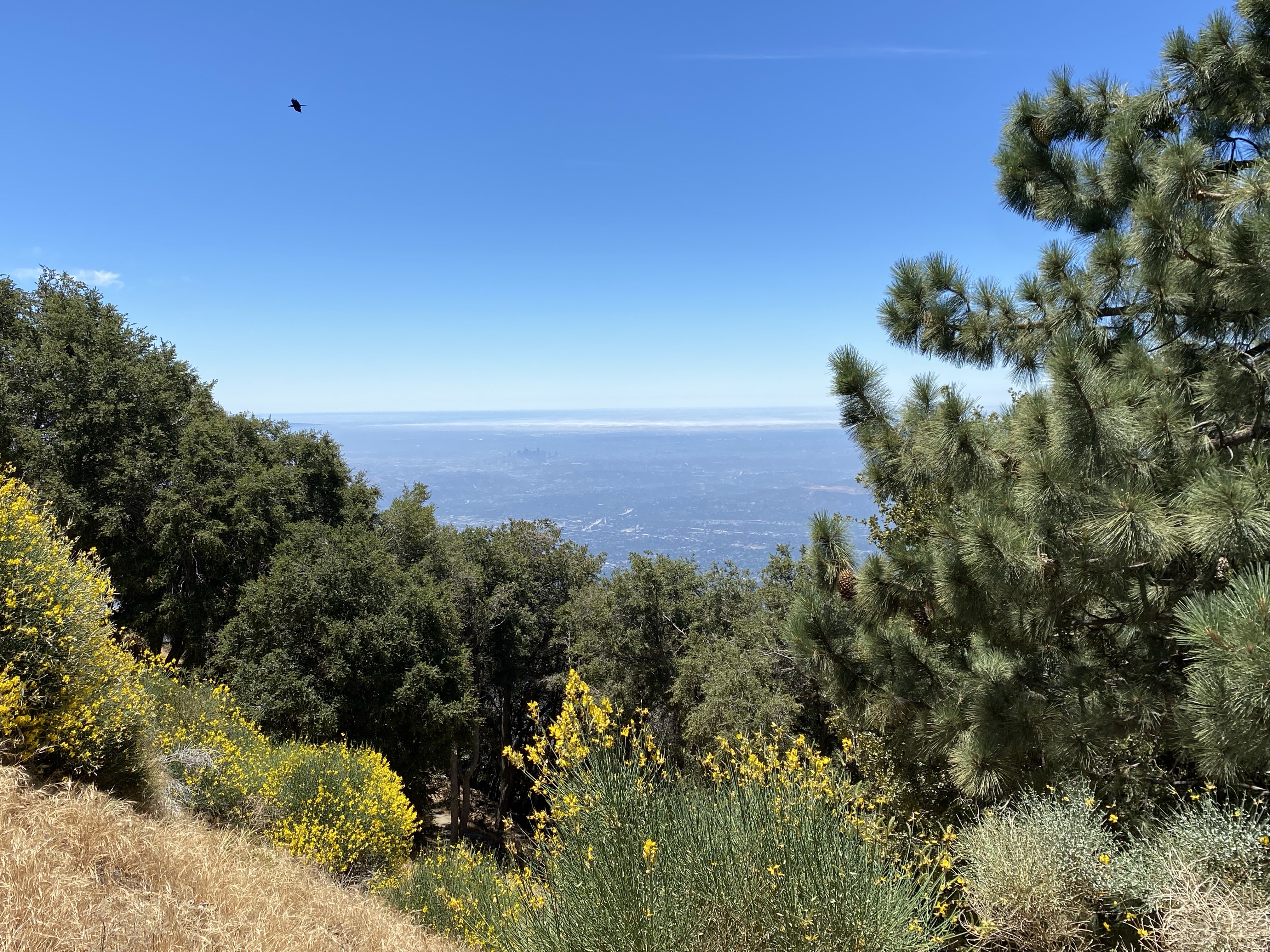 Hiking the Angeles: Mt. Wilson – The Cranky Camper
